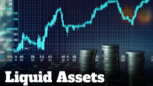 What are Liquid Assets? What are the Examples of Liquid Assets?