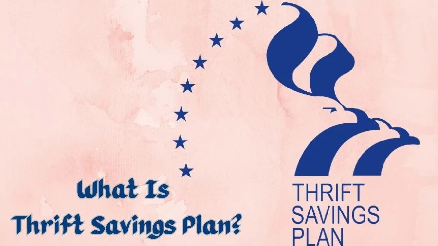 Finance Insights Hub: Wealth Wisdom & More